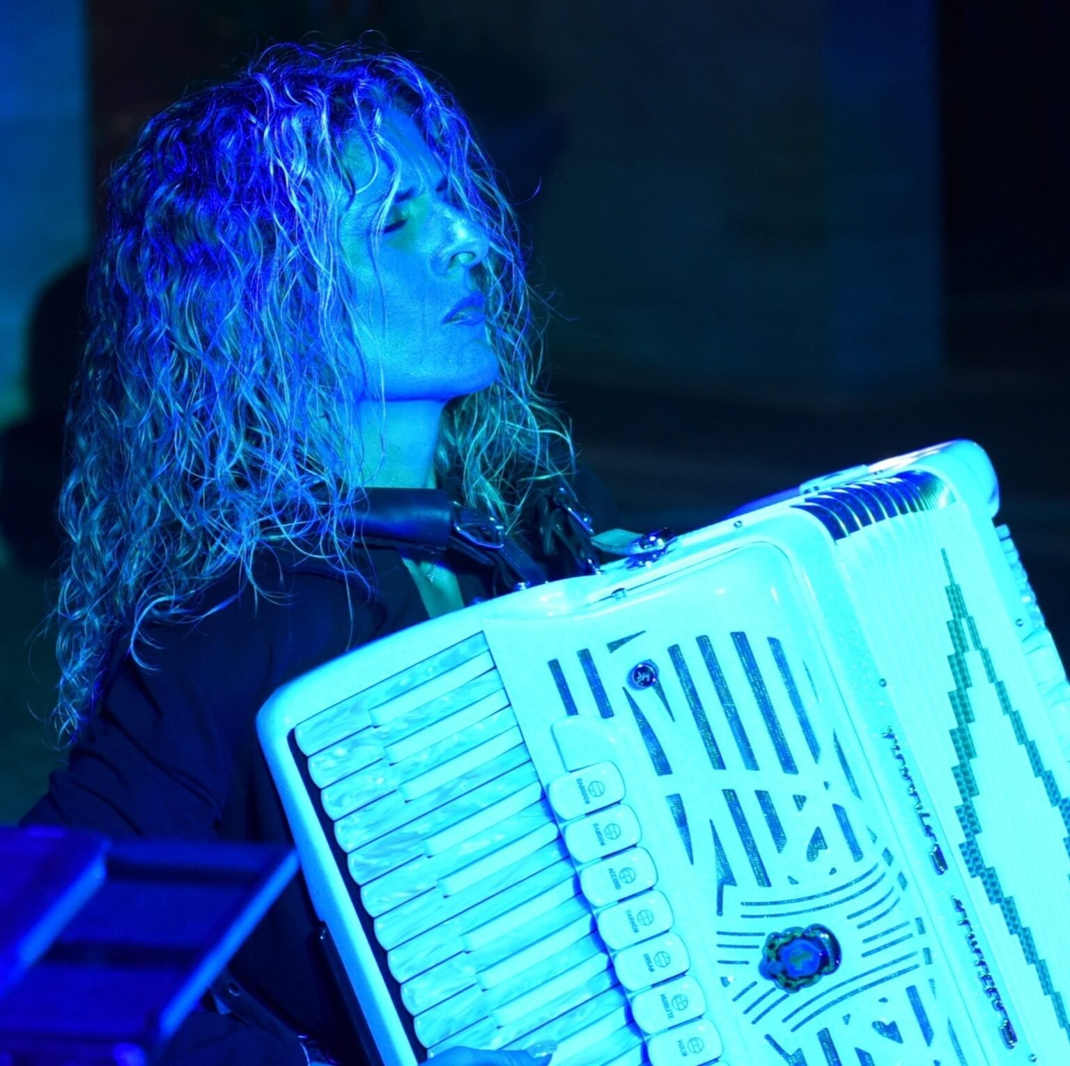 Aquilonia Jazz, la fisarmonica di Rita Di Tizio rende omaggio a ...