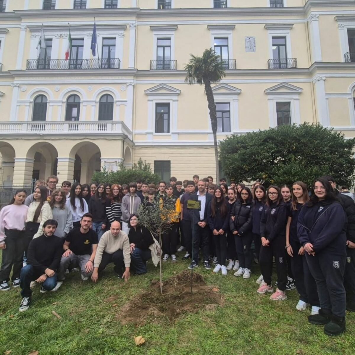 Al Convitto un ulivo per Nunziante Scibelli – Corriere dell'Irpinia